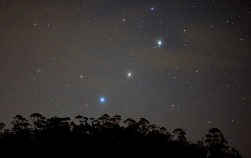 When The Stars Line Up - in Venice, Florida